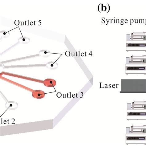Schematic Diagram Of Experimental Setup A Optofluidic Chip B