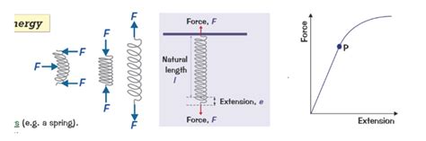 Elastic Force Images