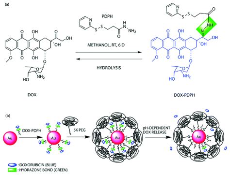 A Ph Sensitive Drug Gold Nanoparticle System A Chemical Synthesis Of Download Scientific