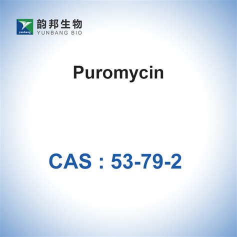 Cas 53 79 2 Puromycin Powder Iso Certificated