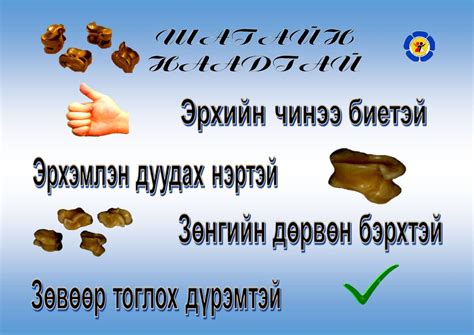 Шагайн наадгай дууны үгийг хүргэж БЗД 20 р Цэцэрлэг Facebook