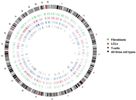 genome wide map of cis eqtls in three cell types cis eqtls at 0 001