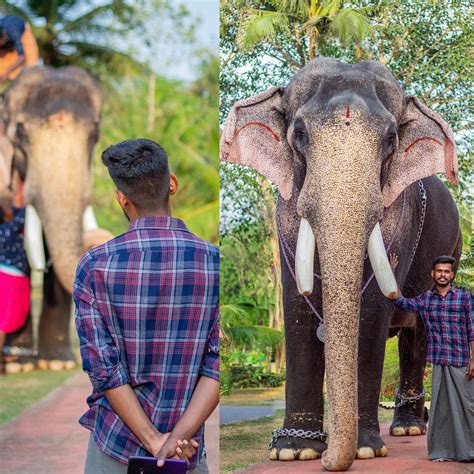 𝓐𝓶𝓪𝓵 𝓡 𝓝𝓪𝓲𝓻 ചെറുപ്പുളശ്ശേരി അനന്തപത്മനാഭൻ ️cherupalaserryanandhapadmanaban