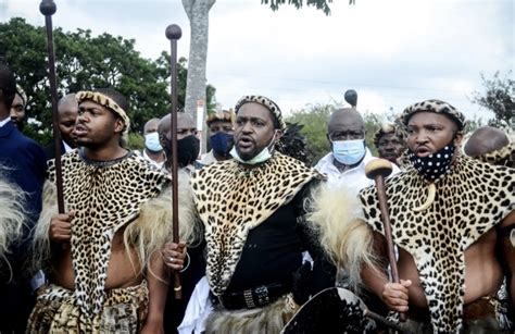 រាជបុត្រ Misuzulu អនុវត្តវិធីបរបាញ់សត្វតោមុនឡើងគ្រងរាជ្យ សារព័ត៌មាន នគរវត្ត