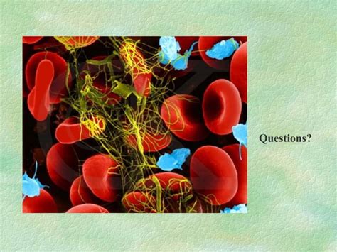 Introd To Coag Testing For Fellows Mskcc 2014 Ppt