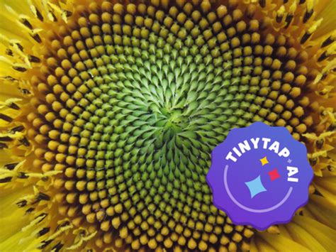 Fibonacci Sequence TinyTap AI Turn Any Topic Into A Game