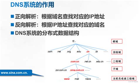 Linux(第十三篇)dns正向解析、反向解析、主从linux Dns反向解析配置 Csdn博客 Linux(第十三篇)dns正向解析、反向解析、主从linux Dns反向解析配置 Csdn博客