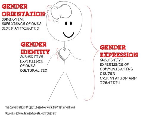 Gender Orientation Identity And Expression