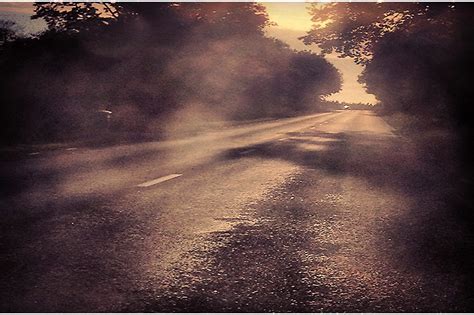 Stig Dagerman Wide Informal Art The Nature Of Things