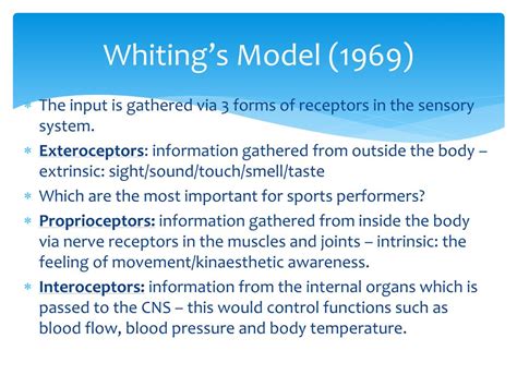 Ppt Information Processing Powerpoint Presentation Free Download Id 2300646