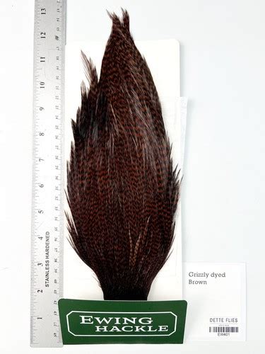Ewing Hackle Rooster Cape Grizzly Dyed Brown 401 Ebay