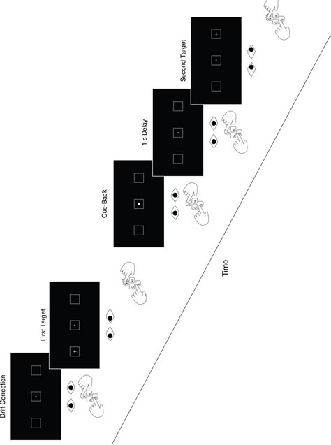 Figure 1 From Dissociating Orienting Biases From Integration Effects With Eye Movements