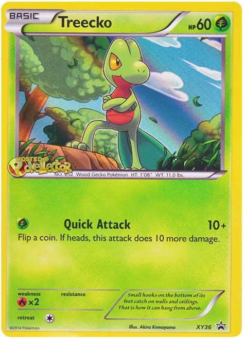Treecko XY Promos Pokemon Card