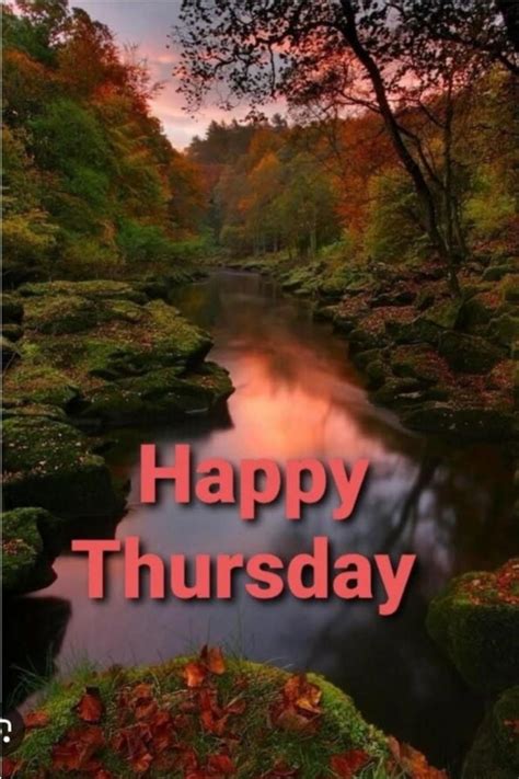 Happy Thursday Quotes To Brighten Your Day Autumn Forest With Happy
