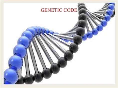 Genetic Code Discovery Of Genetic Code Ppt