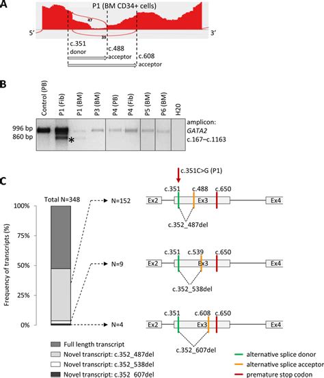 Alternative Splicing A Sashimi Plot Of Gata2 Exon 3 Of P1 Depicting Two