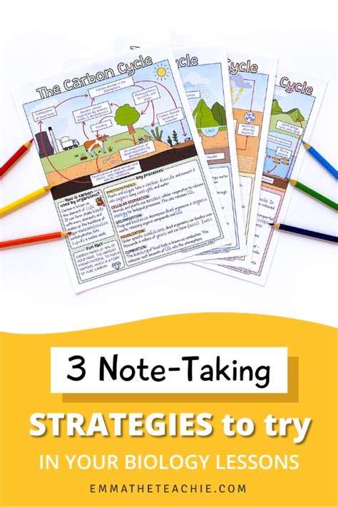 3 Note Taking Strategies To Try In Your Biology Lessons