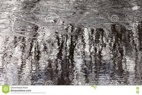 Reflection Stock Photo Image Of Fall Naked Branch