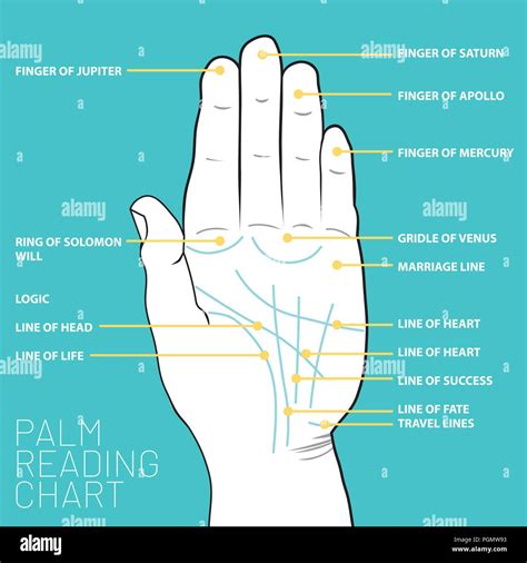 Palm Reading Chart Palmistry Map Of The Palms Vector Image 59 Off