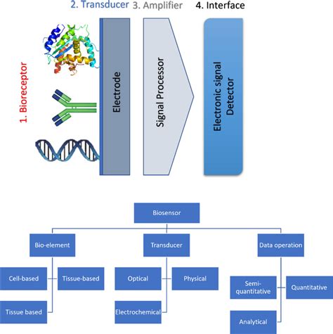 Schematic Illustration Of Biosensor Technology And Biosensor Classification Download