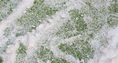 What Will Happen To My Artificial Grass In Winter
