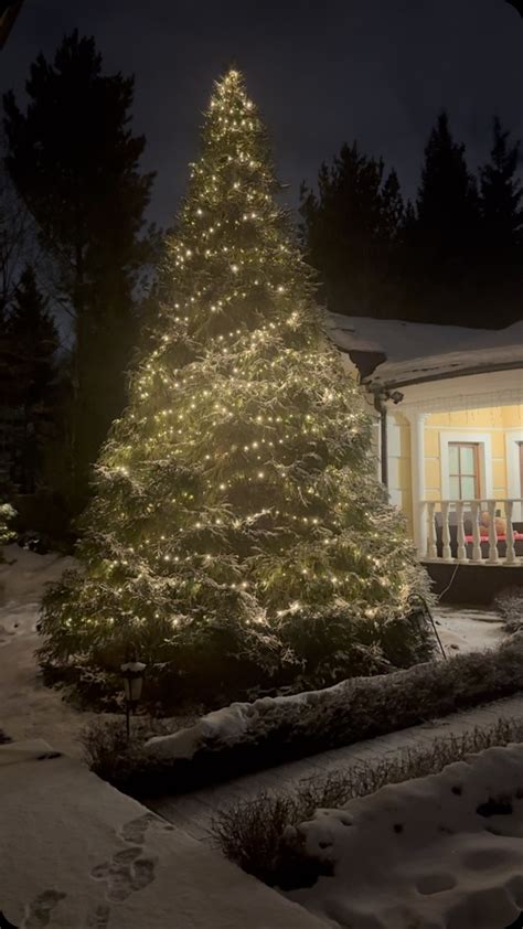 Анастасия Волочкова Ну привет 🌴 анастасияволочкова балет россия мальдивы Instagram