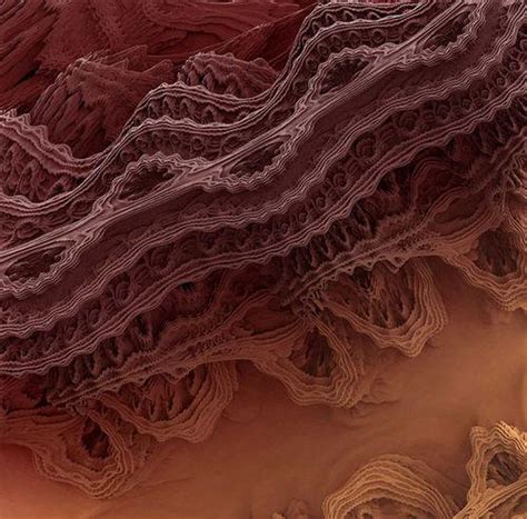 斐波那契数列与python的尾递归蹦床 连载【9】 知乎