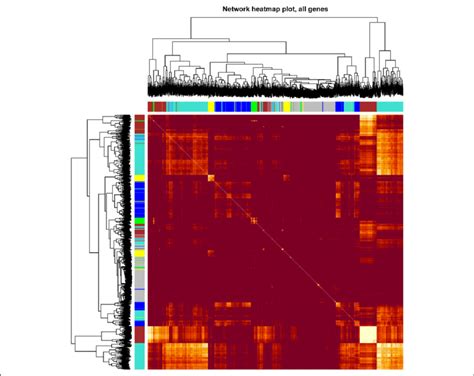 Visualization Of The WGCNA Network Heatmap Plot Representing The Gene