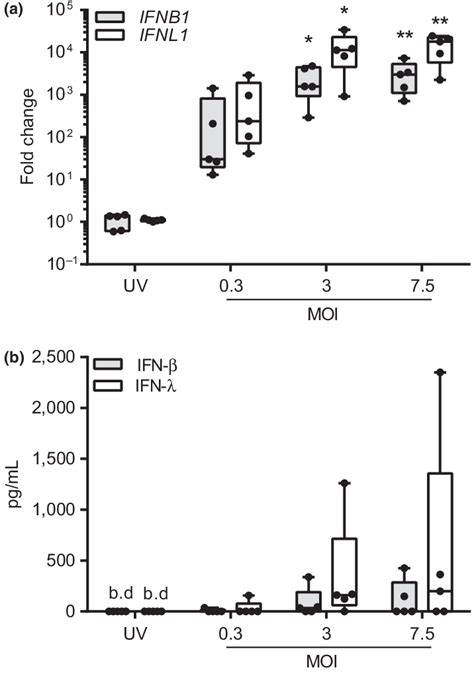 Rv16 Induced Ifn Responses In Lad2 Mcs Lad2 Mcs Were Exposed To Rv16