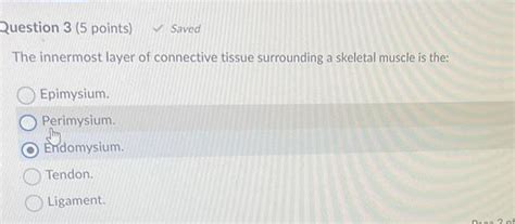 Answered Question 3 5 Points Saved The Innermo Anatomy And