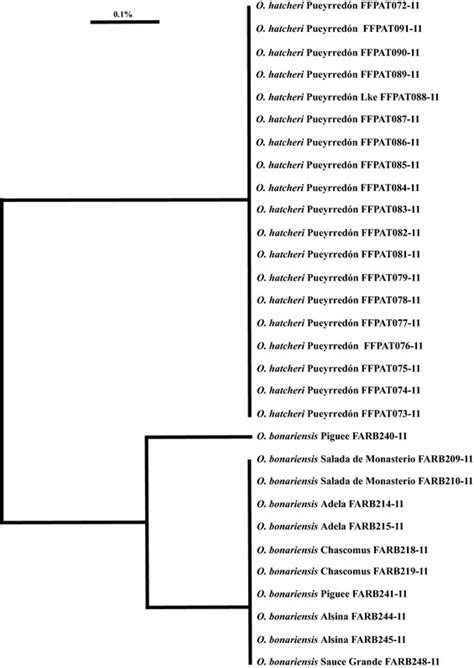 Maximum Composite Likelihood Model Tree Based On Cytochrome Oxidase I Download Scientific