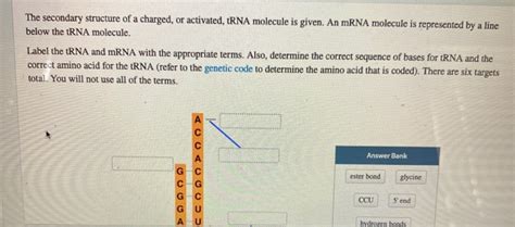 Solved The Secondary Structure Of A Charged Or Activated