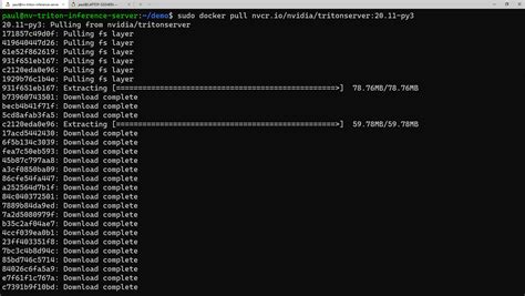Module 14 Deploy Model To Nvidia Triton Inference Server Machine