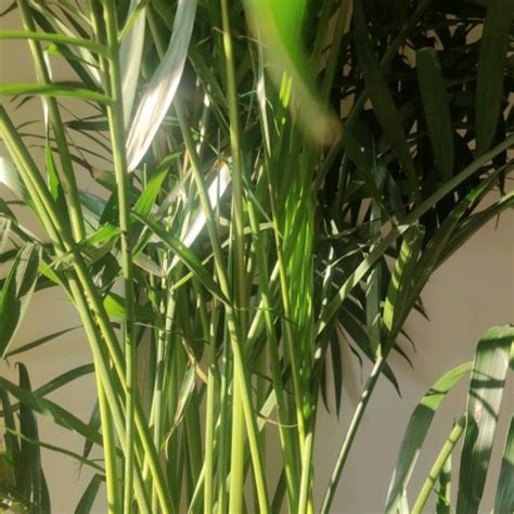 发新闻怎么做？这几个步骤让新手快速入门！ 受众 媒体 平台