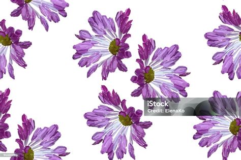 정원 꽃 원활한 패턴입니다 식물 그림에 스타일 그린 패션에 대 한 벡터 꽃 디자인 일러스트 레이 션 스크랩북 포장지 인쇄 합니다 0명에 대한 스톡 벡터 아트 및 기타 이미지