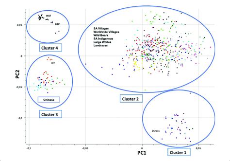 Principal Component Analysis Based Population Clustering Including