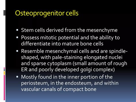 Bone Pptx