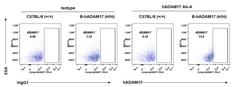 Human Adam17 Mice Gene Humanized Models Biocytogen