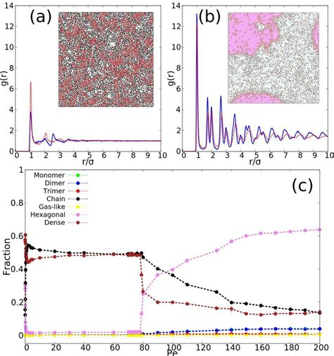 A B Radial Distribution Functions For A System In The Homogeneous Download Scientific Diagram