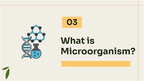 Fermentation Process Types Microorganisms And Applications Pdf