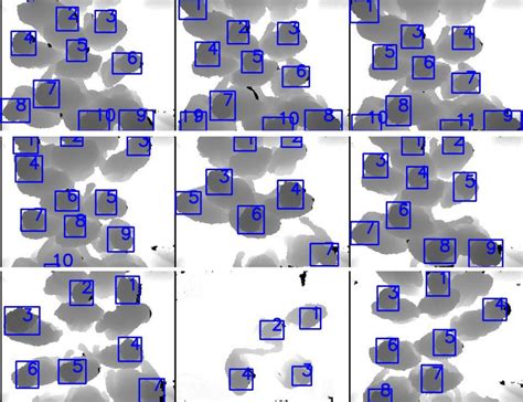 An Example Of Head Count Results Using Tv Heads Dataset Download Scientific Diagram