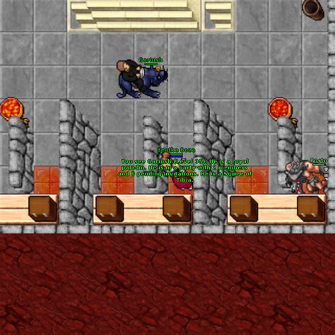 Bug In Tibia Rtibiammo