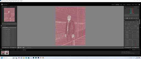 Negative Lab Pro Doesnt Show Up When Selected Ranalog