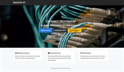 Saltyfish Vps G G Ssd T M