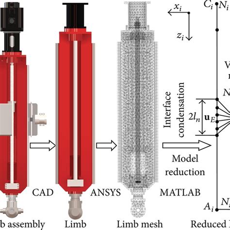 Limb Substructural Model Reduction Download Scientific Diagram