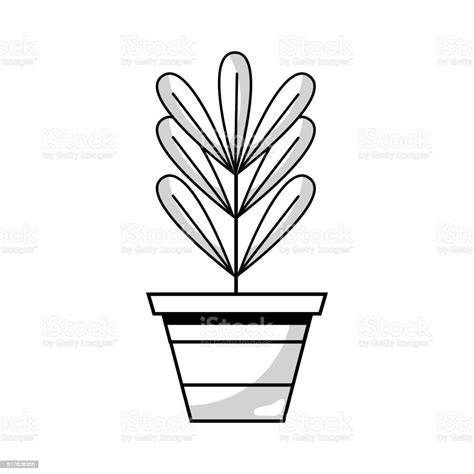 Desain Pot Bunga Koleksi Gambar