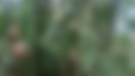 Blur Backdrop Stock Photos Images And Backgrounds For Free Download