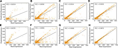 Deepcba A Deep Learning Framework For Gene Expression Prediction In Maize Based On Dna