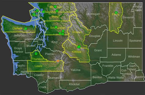 Lecidea Lapicida Burke Herbarium Image Collection
