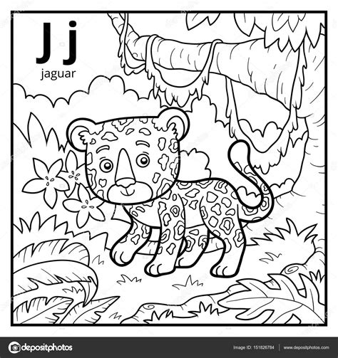 색칠 공부 책 무색 알파벳입니다 편지 J 재규어 스톡 벡터 ©ksenyasavva 151826784